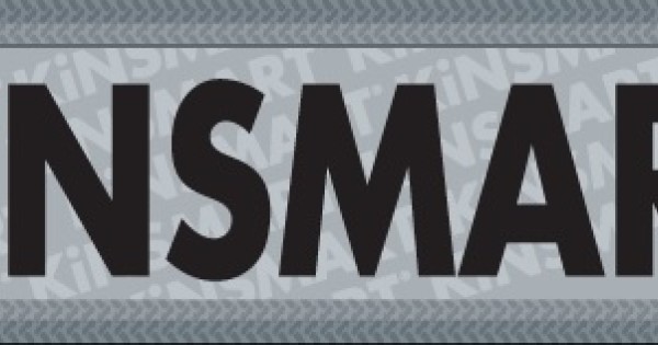 Kinsmart